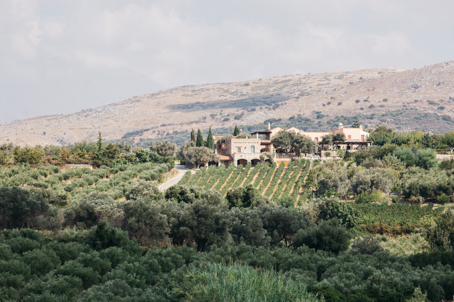 Authentic Rustic Farm Destination Wedding in Crete Greece